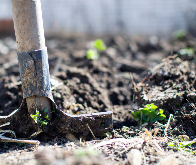 Welcome to the City of Armstrong - City of Armstrong