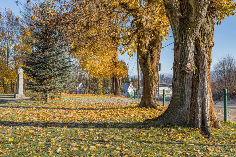 Welcome to the City of Armstrong - City of Armstrong