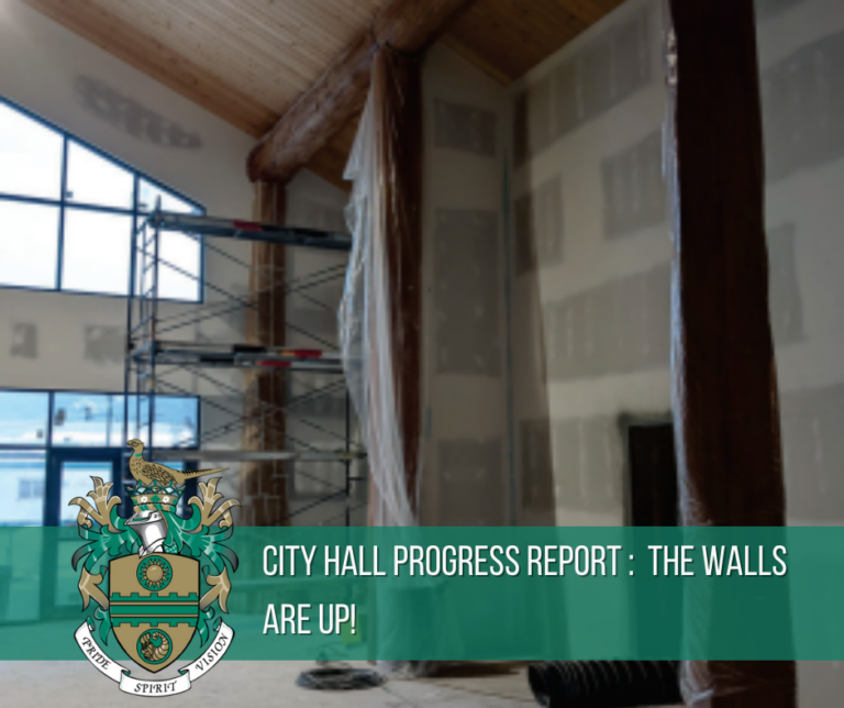 City Hall Progress Report: Walls are Up! - City of Armstrong