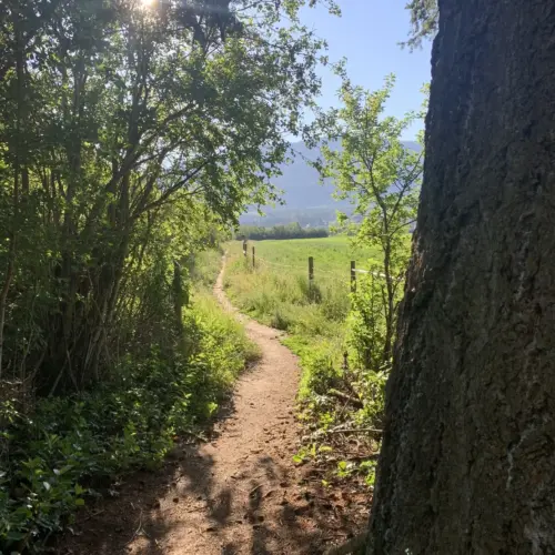 Parks and Recreation Department - City of Armstrong